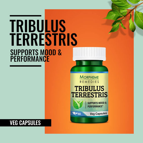Tribulus Terrestris 500 mg - 60 Veg Capsules – Morpheme Remedies